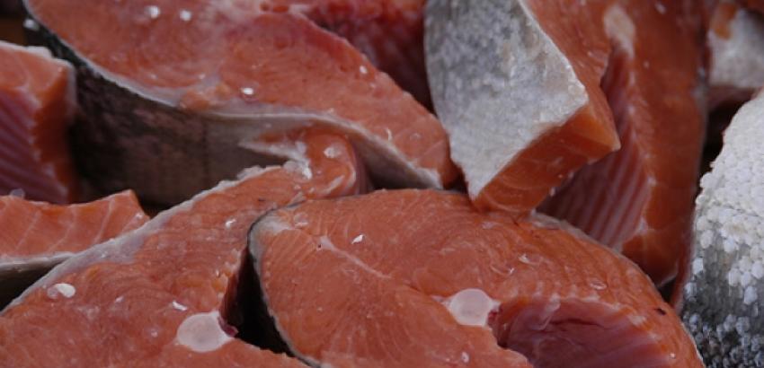 What Does Sushi Grade Salmon Really Mean? | POGOGI Japanese Food