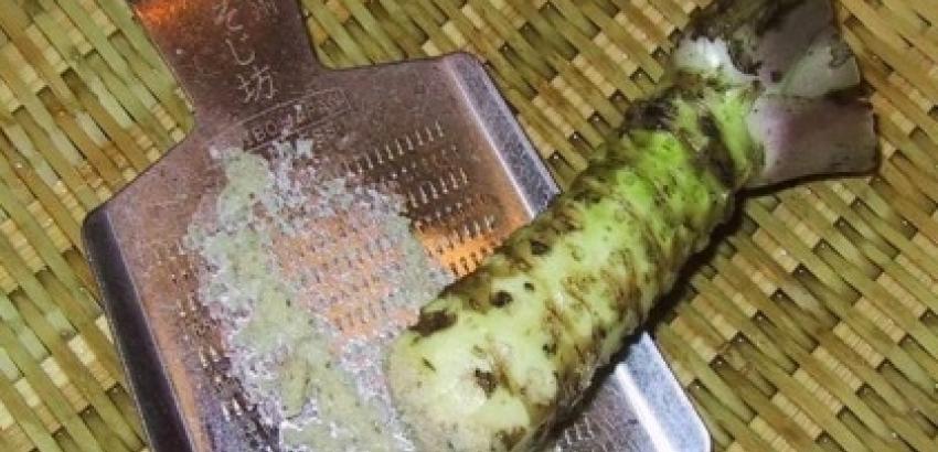 5 Different Ways Wasabi Can Be Used (other Than Sushi) | POGOGI ...